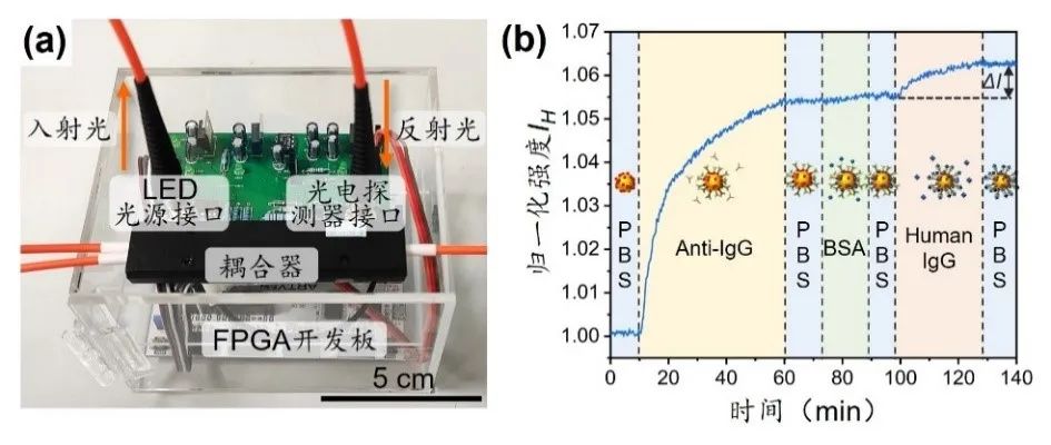中科院微电子所在表面等离激元光纤生化传感器方面取得重要进展