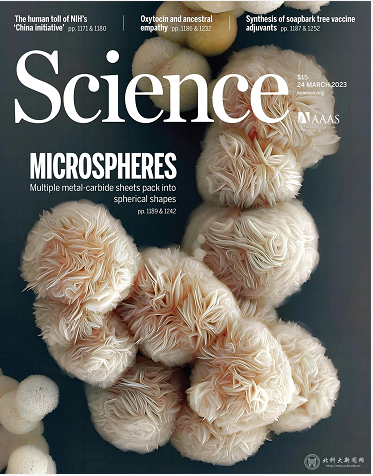 北京科技大学研究成果在《Science》期刊上发表